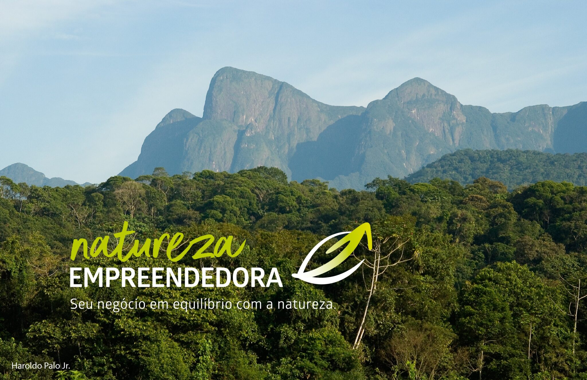 Programa Natureza Empreendedora divulga os vencedores da edição 2020 ...